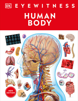 Eyewitness Human Body — Bright Bean Toys