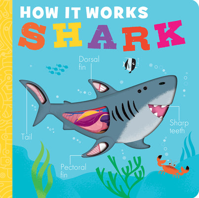 How It Works: Shark — Bright Bean Toys