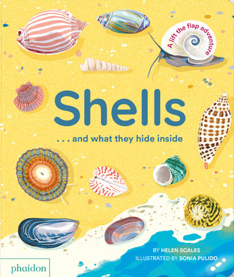 Shells... and What They Hide Inside: A Lift-The-Flap Adventure – Bright ...
