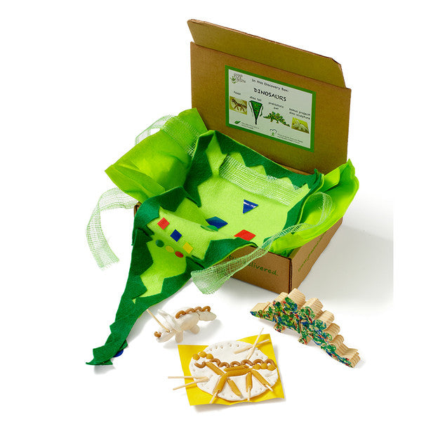 Green Kids Crafts Green Kid Crafts Dinosaur Discovery Box — Bright Bean ...