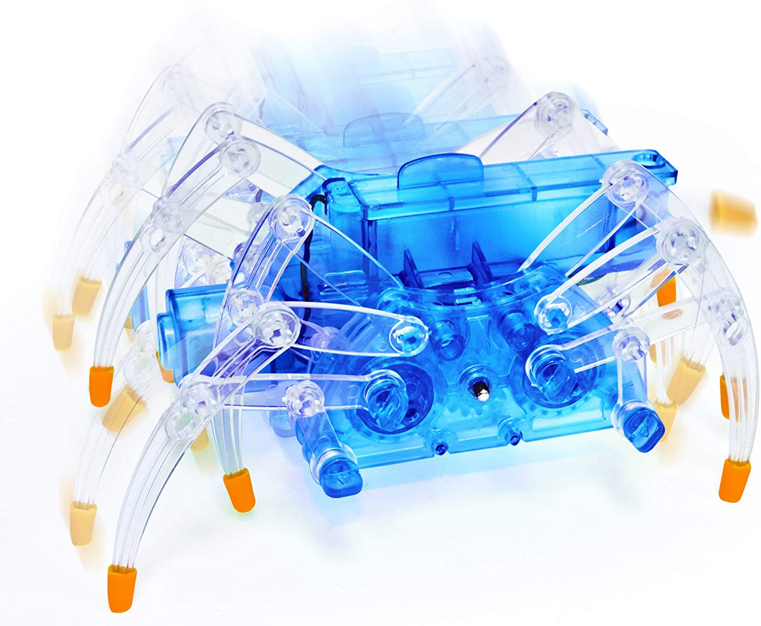 Smithsonian Science Kits – Robo Spider — Bright Bean Toys